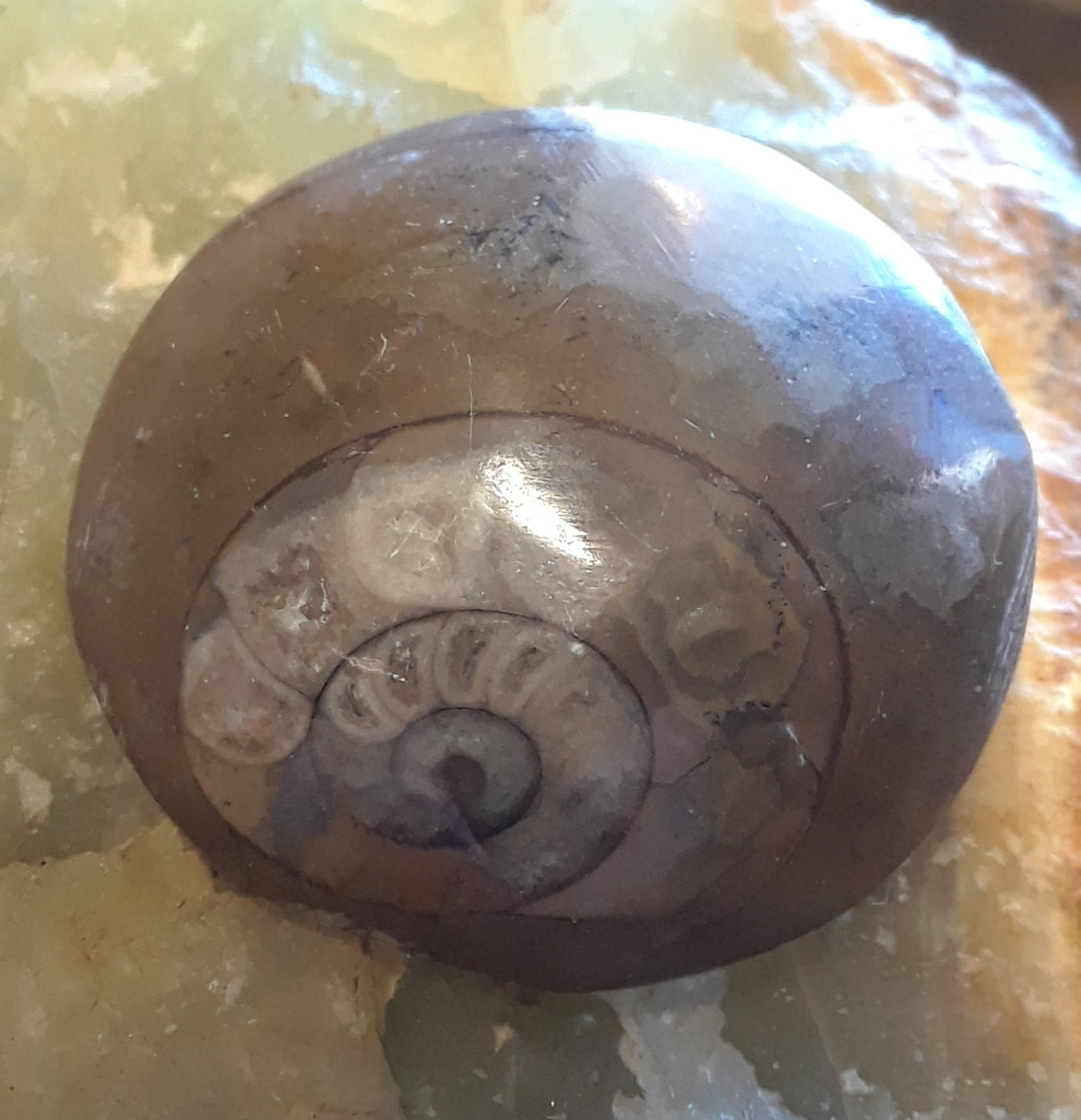 Rose City Gemstones & Fossils – Elemental Arts